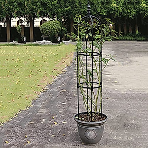 Trellis for Climbing Plants - Rustproof Plant Trellis Climbing Plant Support - Tomato Plant Trellis for Climbing Support Rose, Vegetable, Vines, Ivy, Jasmine Buogint