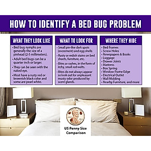 Nature’s MACE Bed Bug Killer 16oz, Kill BedBugs, Mites, Eggs, Bed BugSpray, Easy, Do-It-Yourself, Professional Bed Bug Spray, At-Home Solution, Mattress, Non-Toxic, Child & Pet Safe, Stain & Odor Free