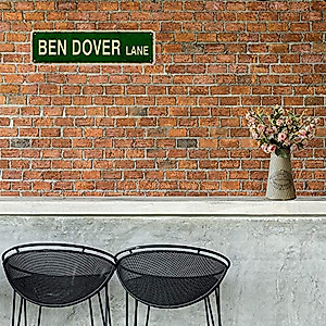 Ben Dover Lane Slim Tin Sign Retro Street Sign for Room Decor Man Cave Best Gift 4x16 Inch