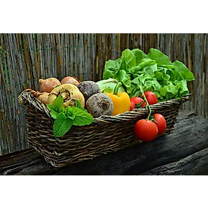 Set of 12 Sweet Corn- Golden Bantam Vegetable Seed Packs - Create a Deluxe Garden - All Seeds are Heirloom - 100% Non-GMO (Sweet Corn- Golden Bantam)