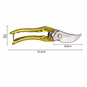 Generic Garden Secateurs Garden Scissors Pruning Shears Rust Proof High Carbon Steel SK5 Blade with Safety Lock Hand Secateurs & Pruning Scissors,Gold,One Size