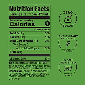 Steaz Organic Unsweetened Iced Green Tea Antioxidant Brew, USDA Organic, 16 OZ (Pack of 12)