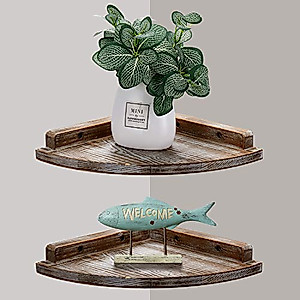 Sageme Corner Wall Shelf 2 Pcs, Solid Pine Wood Rustic Farmhouse Floating Storage Shelves Wall Mounted for Bedroom, Living Room, Bathroom Set of 2 (10 inch, Rustic Pinewood)
