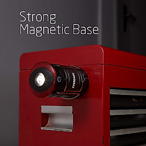 Eveready LED Camping Lantern 360 PRO (4-Pack), Super Bright Tent Lights, Rugged,Water Resistant, 100 Hour Run-time (Batteries Included)