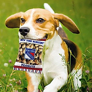 NHL New York Rangers Crinkle FINE Plush Dog & CAT Squeak Toy - Cutest Stadium Peanuts Snack Plush Toy for Dogs & Cats with Inner Squeaker & Beautiful Baseball Team Name/Logo