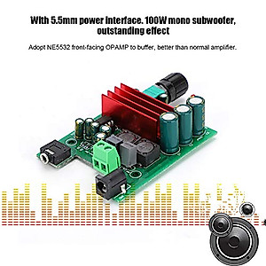 Amplifier Module Lossless Digital Power Amplifier Board Durable TPA3116 with NE5532 OPAMP