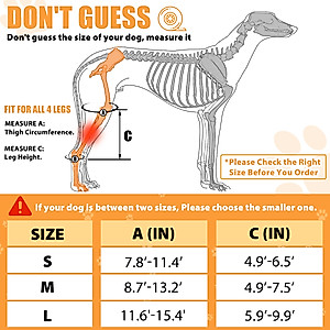 tisueteyi Dog Leg Braces for Front and Back Torn ACL Hind Leg, Rear Leg Joint Care Injury Support for Dogs Luxating Patella, Dog Arthritis, Hip Dysplasia, Adjustable Dog Acl Brace Size M