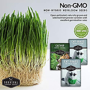 Survival Garden Seeds Cat Collection Seed Vault - Non-GMO Heirloom Seeds for Planting - Catnip and 2 Cat Grass Packets - Amazing Herbal Plants and Greens for Your Kitty's Health & Recreation