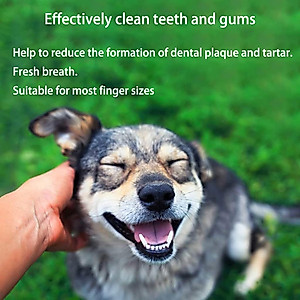 Onewly Dog Tooth Brushing Kit, 40 Count Dog Dental Teeth Cleaning Wipes for Help Wipe Away Plaque&Tartar, Freshen Breath - Pet Oral Cleansing Wipes Pads for Dogs and Cats (Milk Flavor)