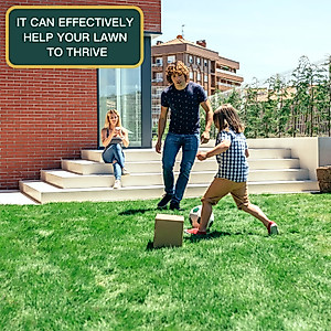 kailund Lawn Aerator Shoes Grass Spike Shoes for Lawn Aeration, Soil Aeration Shoes Grass Aerating Spike Sandals with Heavy Duty Buckle for Aerating Patio Garden Grass Lawn - One Size Fits All