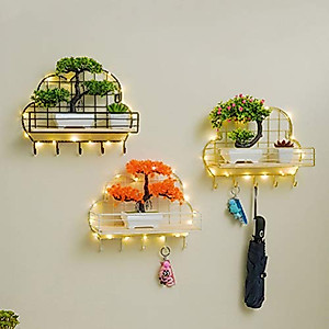 STOBOK Hanging Storage Shelves Cloud Shape Wall Hanging Storage Rack, Metal Wall Mount Organiser Floating Shelves Wall Mount Organiser Cloud Shelves Display Rack for Home Decor White