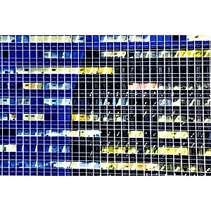 Building City in Reflection