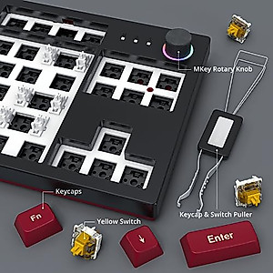 Montech MKey TKL Mechanical Gaming Keyboard: Customizable RGB LED, Premium MDA Profile PBT Keycap, Hot-Swappable Gateron G Yellow Pro 2.0 Pre-lubed Switches, Osaka Castle Theme, Darkness (MK87DY)