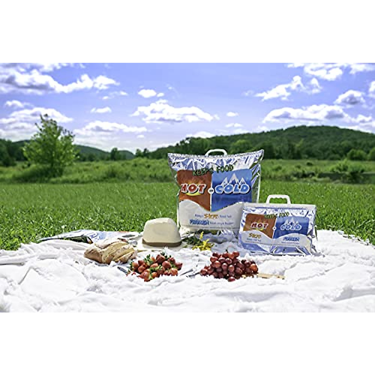 Pack of 12 Hot and Cold Insulated Bags- Food Storage for Frozen & Hot Items- Reusable Lunch Bags & Grocery Shopping Bags, Heavy Duty Refrigerated Totes, (12"x13.5")