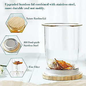 34oz/1000ml Glass Teapot with Glass Tea Infusers, Glass Tea Kettle for Loose Tea, with Removable Clear Infusers for Blooming Flower Tea, Ideal Tea Sets for Women, Tea Maker Gift