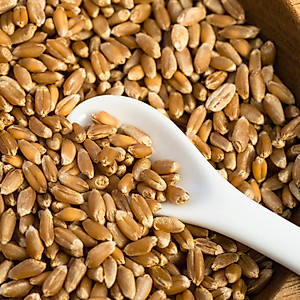 Chef's Banquet Emergency Food Supply Basics 7 Essentials (oats, rice, corn, multi-grain cereal, beans, pasta, wheat) House and Home survival food kit, Shelf Life: 25 year to 30 year