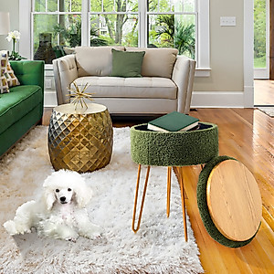 Round Storage Ottoman Foot Rest, Green Ottoman Faux Teddy Fur Vanity Stool with Gold Legs, Coffee Table Top Tray, Modern Ottoman with Storage, Makeup Footstool Vanity Chair for Living Room, Bedroom