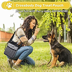 6 Set Dog Travel Bag, Large Pet Travel Kit for Supplies Includes 2 Food Containers, 1 Travel Organizer for Dogs, 2 Collapsible Bowls, 1 Treat Pouch, Dog Weekend Overnight Travel Bags Luggage, Grey