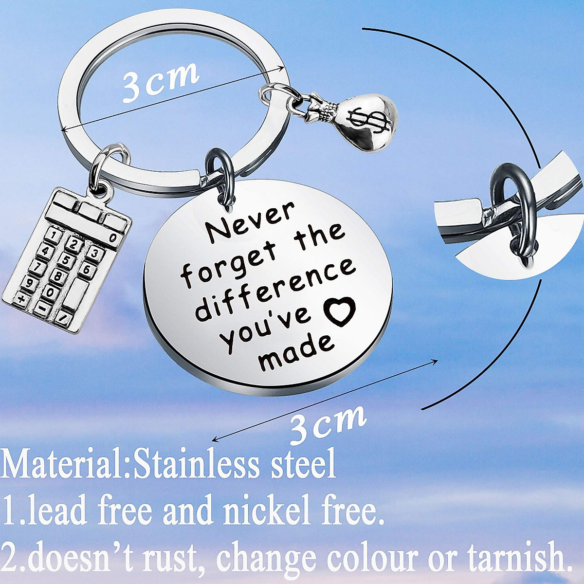 MYOSPARK Accountant CPA Keychain Never Forget The Difference You've Made Accounting Jewelry (difference accountant kc)