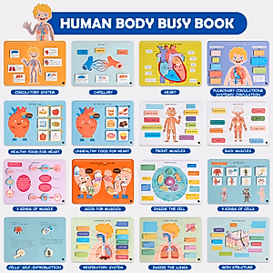 Freebear Montessori Busy Book for Kids, Human Body Anatomy Book for Toddlers, Preshool Kindergarten Learning Activities, Autism Sensory Toys, Travel Toys, Gifts for Girls and Boys 4 5 6 7 8 Years