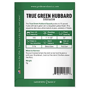 True Green Hubbard Squash Seeds for Planting - Winter Squash Heirloom, Non-GMO Vegetable Squash Variety- 5 Grams Seeds Great for Summer Gardens by Gardeners Basics