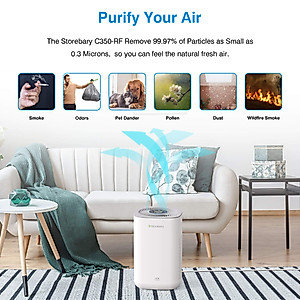 Storebary Air Purifier Replacement, C350-RF True HEPA High-Efficiency Activated Carbon Air Filter Fits for C350 (4 Pack)