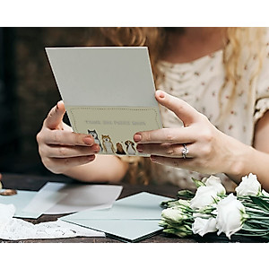 48 Dog Thank You Card Set, Dog Pun Note Cards Pack with Envelopes, Puppy Greeting Notecards Bulk, Cute Boxed Assortment Quip Cards for Gratitude, Recognition, Appreciation, 4 x 6 in