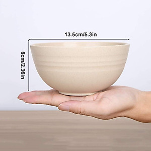 Set of 5 Unbreakable Lightweight Rice Bowl, Premium Wheat Straw Cereal Bowl, Bowl mouth 5.3Inch Soup Bowls, for Cereal, Soup and Fruit, Salad, Noodle, Dishwasher safe (Beige)