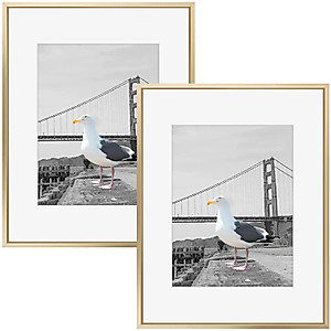 Frametory, 16x20 Metal Picture Frame with Mat for 11x14 Picture & Real Glass, Aluminum Photo Frame Collection (Gold, 2 Pack)