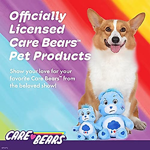 Care Bear for Pets Pet Plush Squeaky Toy Grumpy Bear, 9” with Squeaker Inside and Crinkle Ears | Grumpy Bear for Dogs Squeaky Plush Toy | Collectible Dog Toys (FF19789)