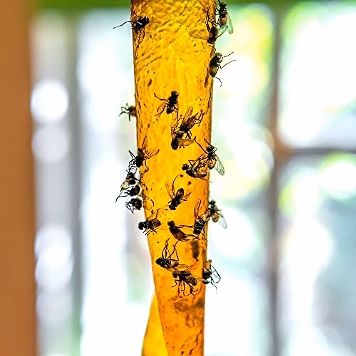 PIC FR10B FR10B-MC Fly Ribbon, Yellow