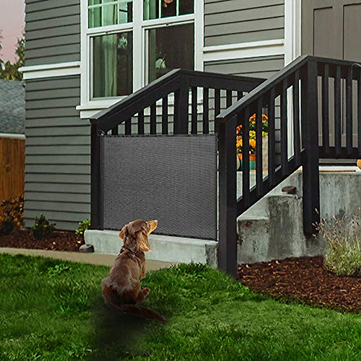 EasyBaby Retractable Baby Gate, 33" Tall, Extends up to 55'' Wide, Black/Child Safety Baby Gates, Pet Retractable Gates for Stairs, Doorways, Hallways, Indoor and Outdoor