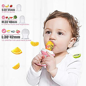 SHARE&CARE Baby Teething Toys for Girls and Natural Organic Fruit Feeder Pacifier/Baby Teether Chew Toys Fresh Food Feeder/ 1 Teethers and 1 Feeder with 3 Silicone Sacs(Purple)