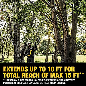 DEWALT 20V MAX* Pole Saw and Hedge Trimmer Attachment, 15-foot Reach, Brushless, Tool-Only (DCPS620B & DCPH820BH)