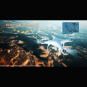 BRAVEEAGLE 64GB microSD Card Class 10 SD Memory Card UHS-1 for Camera/Drone/Dash Cam (64GB U1)