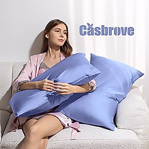 Silk Pillowcase for Hair and Skin Mulberry Silk Pillowcase Soft Breathable Smooth Both Sided Natural Silk Pillowcase with Zipper Beauty Sleep Silk Pillow Case 1 Pc for Gift (Standard, Cornflower Blue)