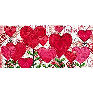 Evergreen Sassafras Bundle - Set of 5 Holidays Interchangeable Entrance Doormats | Indoor and Outdoor |22-in x 10-in doormats and 28-in x 16-in Tray | Non-Slip Backing | Low Profile | Home Décor