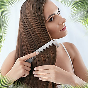 Patelai 2 Pieces Metal Comb Set, Stainless Steel Blending Comb Fine Styling Cutting Comb Flat Top Clipper Comb Metal Detangling Comb for Men Women Salon, Silver