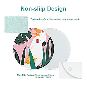 White Parrot Tempered Glass Cutting Board Heat Resistant For Bread Meat Fruit 7.9 in