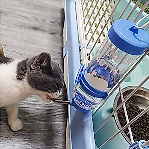 2PCS 8.45 oz No Drip Small Animal Water Bottle, BPA Free Best Water Bottle for Small Pet/Bunny/Ferret/Hamster/Guinea Pig/Rabbit