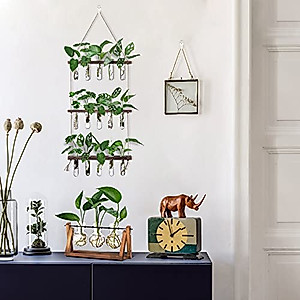 XXXFLOWER Wall Hanging Propagation Station with Wooden Stand 5 Glass Test Tubes 3 Tiered Planters Wall Terrarium for Home Office Plant Hanger Flower Vases Wall Decor Hydroponic Cuttings