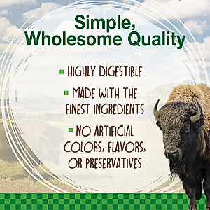 Nylabone Healthy Edibles WILD Natural Long-Lasting Bison Flavor Bone Chew Treats for Dogs, Large (1 Count)