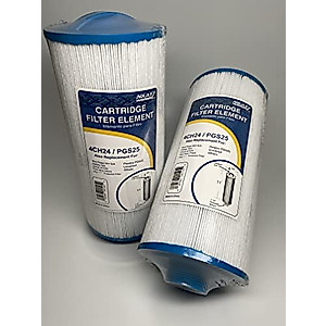 Aqua EZ 4CH-24 Filter Element 2 Pack for 4CH-24 and PGS25