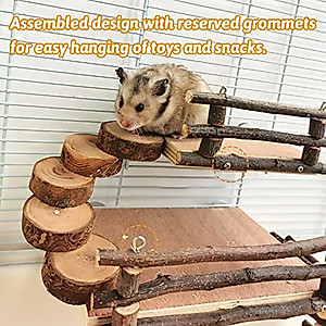 Fhiny Hamster Climbing Toys, 2 Layer Wooden Activity Platform with Bridge Hanging Playground Cage Accessories Hamster Wood Chewing Toys for Dwarf Hamsters Gerbils Small Pets