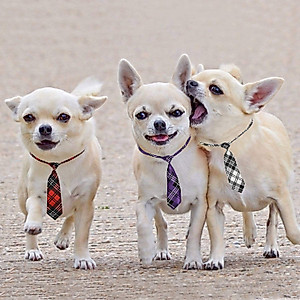 Segarty Dog Ties 30 PCS Dog Neckties, Adjustable Neck Ties and Bows for Medium Large Pets Festival Formal Bulk Pet Bowties Collar Grooming Accessories Holiday Birthday Wedding Costumes