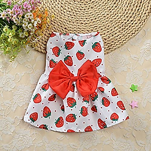 WEISHA Dog Dress 1PC Dog Floral Skirts Bow Princess Dress Dog Spring Summer Section Sweet Fresh Snap Style Puppy Clothes Pet Supplies(XL,Red)
