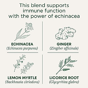 Traditional Medicinals Tea, Organic Immune Zoom Lemon Ginger, Supports Immune Function, 16 Tea Bags