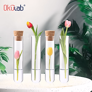 Okulab Clear Glass Test Tubes 50PCS, 16x150mm (20ml) Glass Test Tube with Cap and Brush for Scientific Plants, TTGS02A50