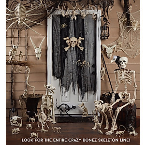 Crazy Bonez Skeleton Bird