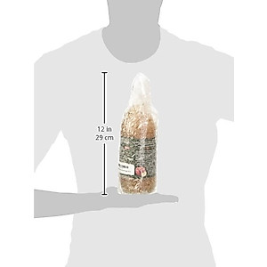 Heinz Apple Cider Vinegar Unfiltered (32 fl oz Bottle)